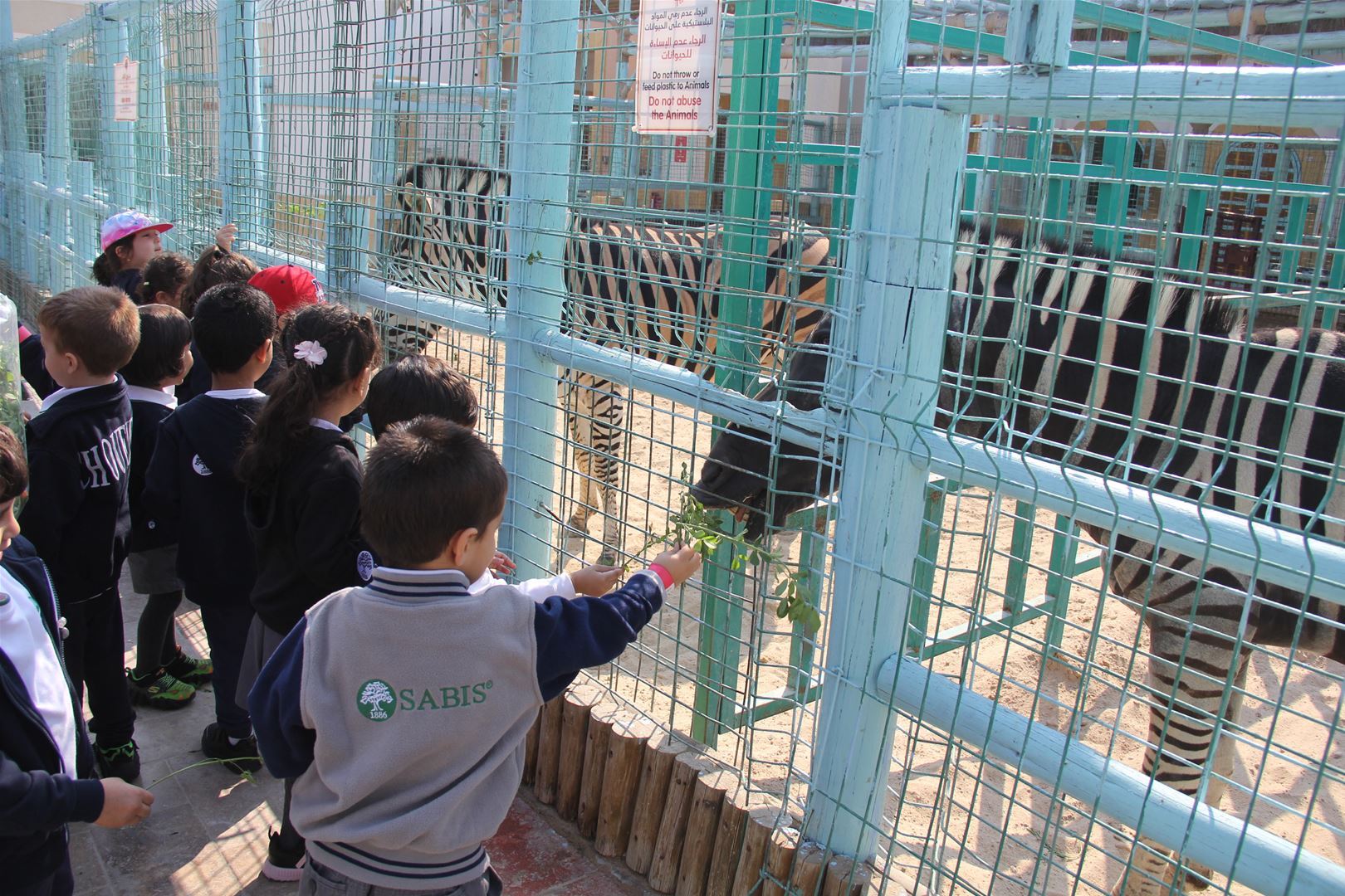 KG1 & KG2 Trip to Baladna - The International School of Choueifat – Doha