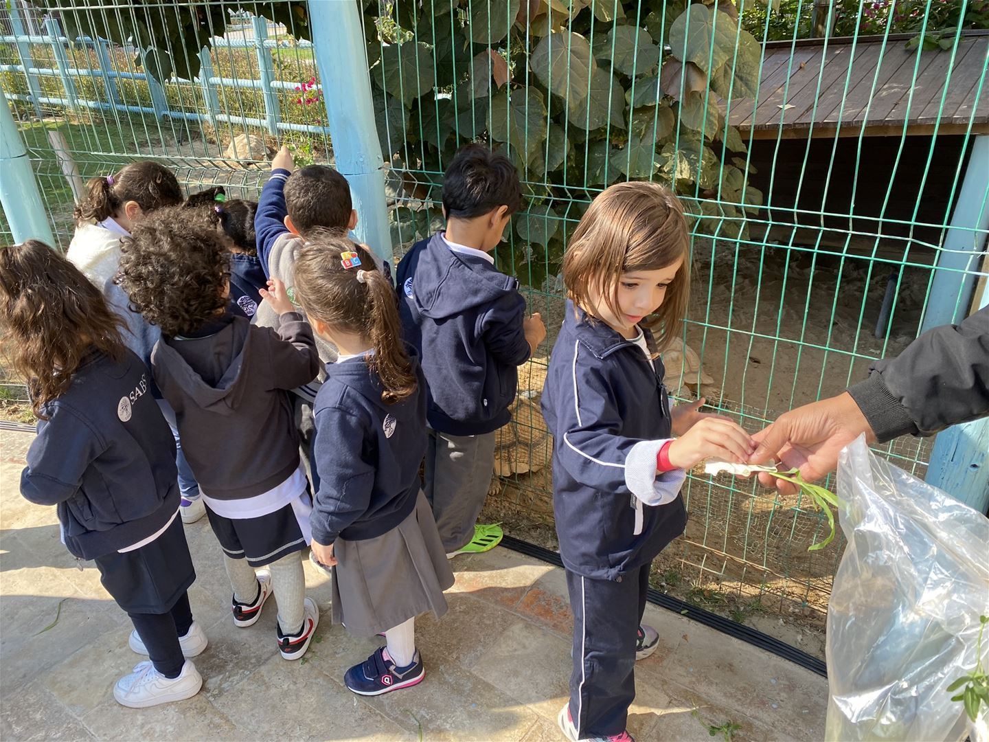 KG1 & KG2 Trip to Baladna - The International School of Choueifat – Doha